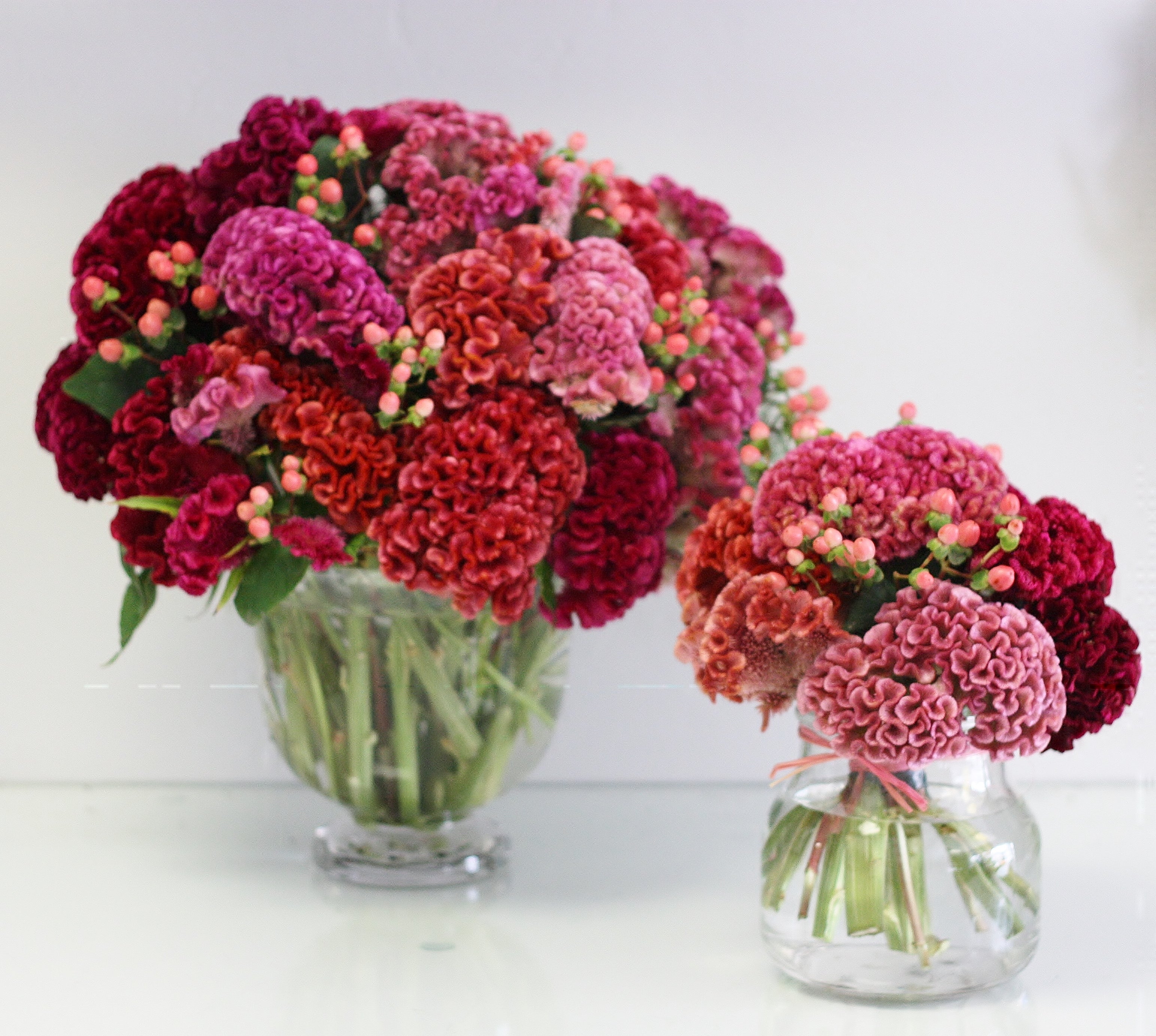 How To Care For Your Cut Flowers – Oleander Floral Design